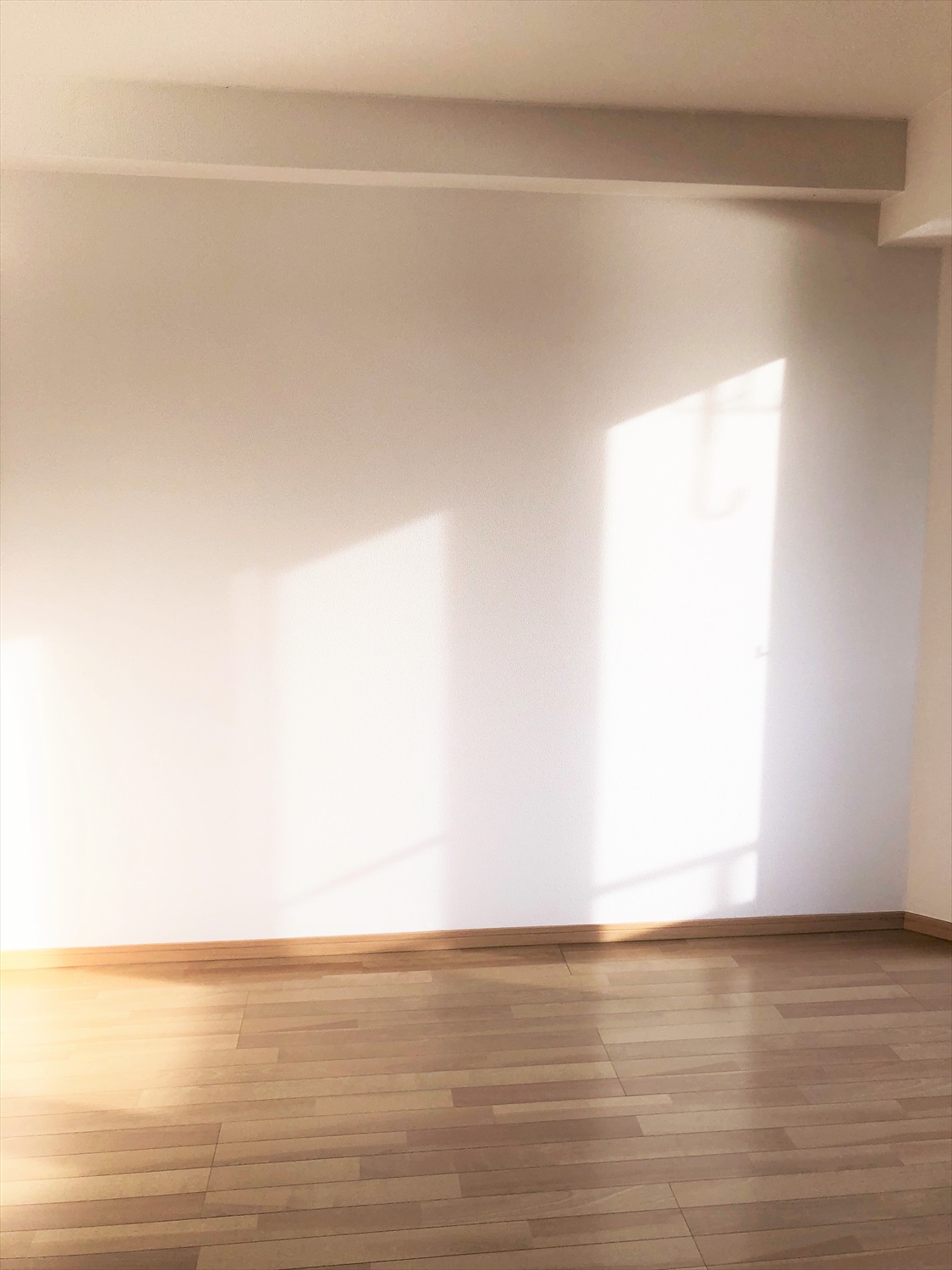 aIMG_4769_re23 – 【公式】株式会社カナヤマコーポレーション